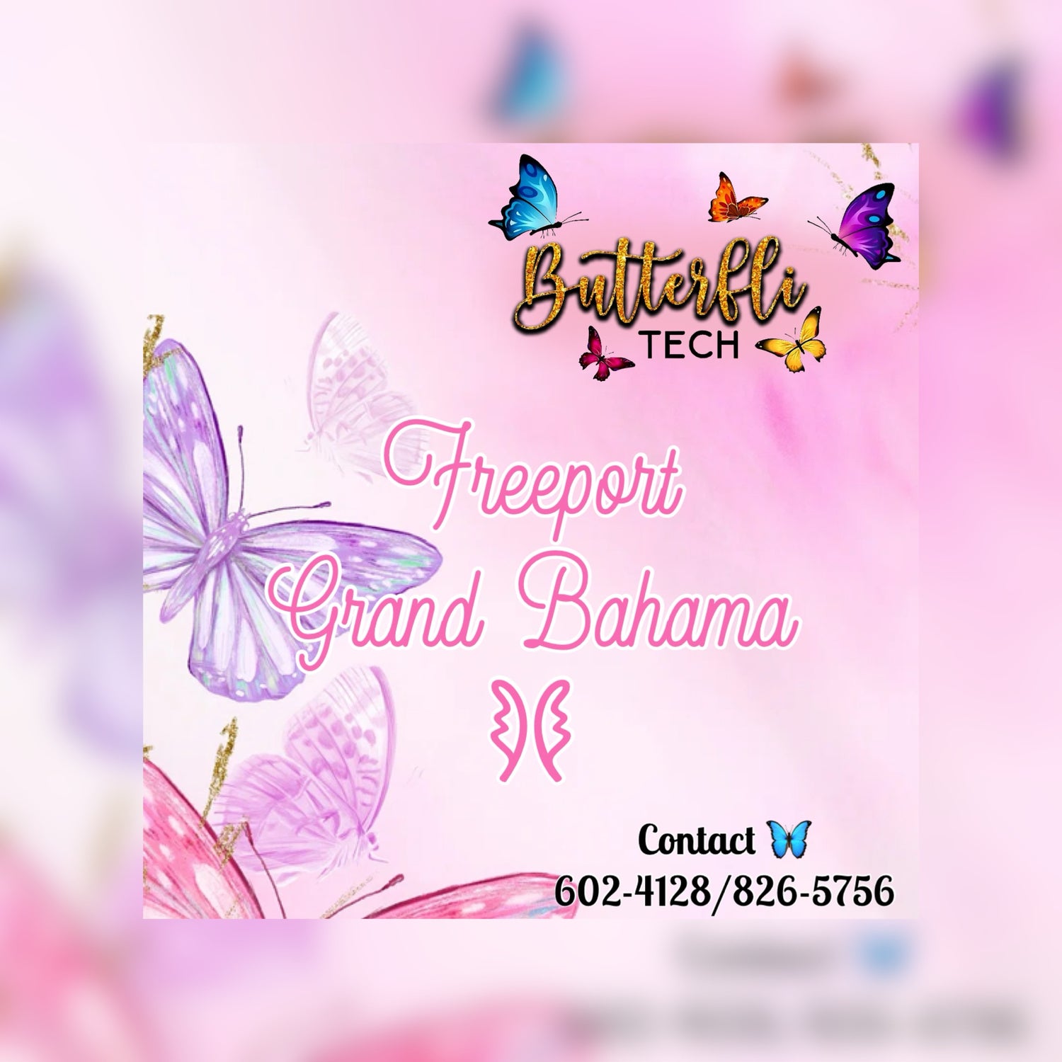 Butterfli~Technologies🦋